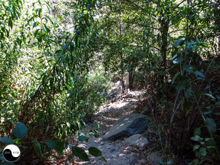 Gabrielino Trail: JPL to the 1st Dam - Southern California Guided ...