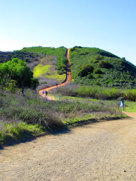 Peters Canyon Guided Mountain Biking Tours