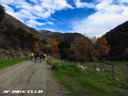 Maple Springs to Motorway Guided Mountain Biking Tour